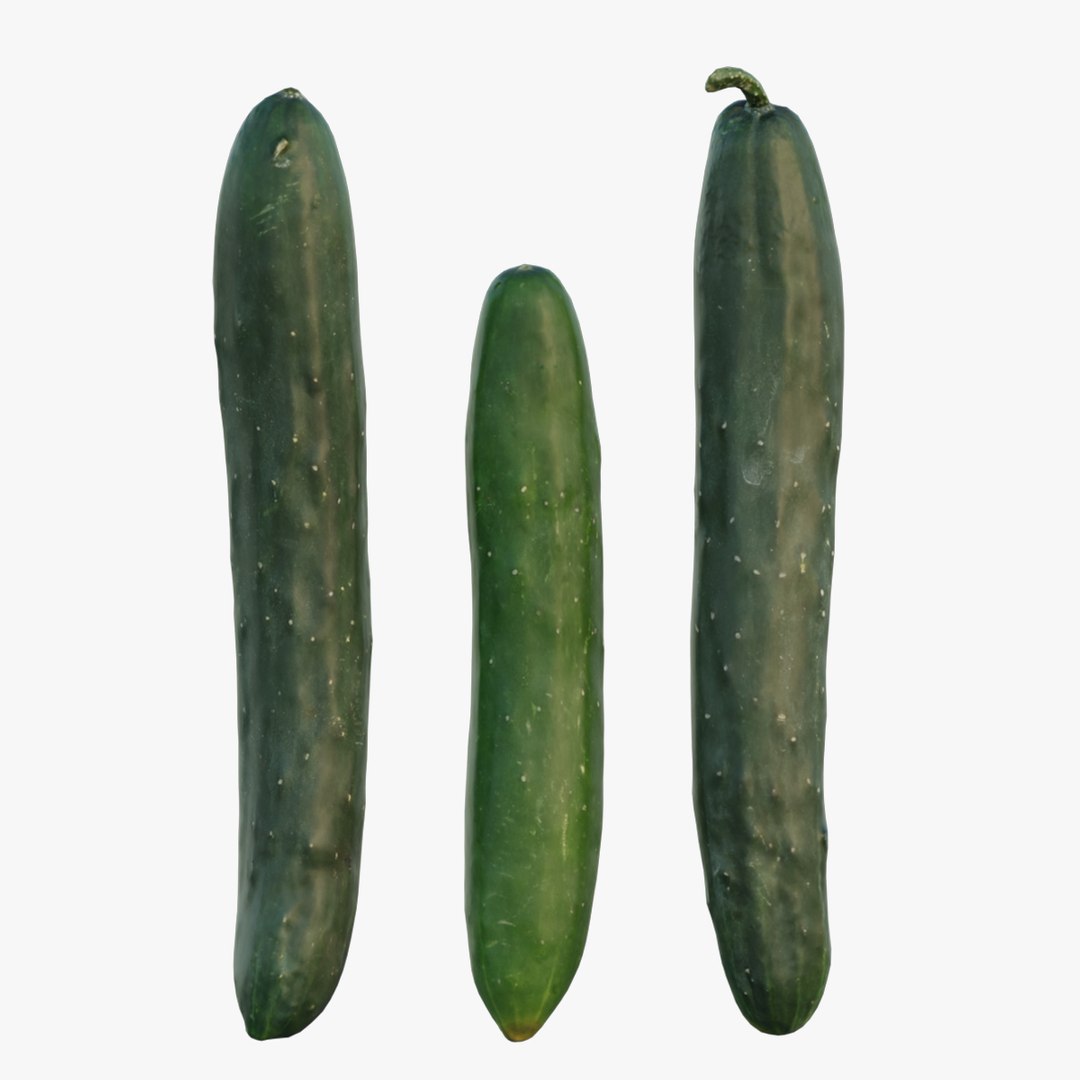 Japanese Cucumber 3D model - TurboSquid 1944823