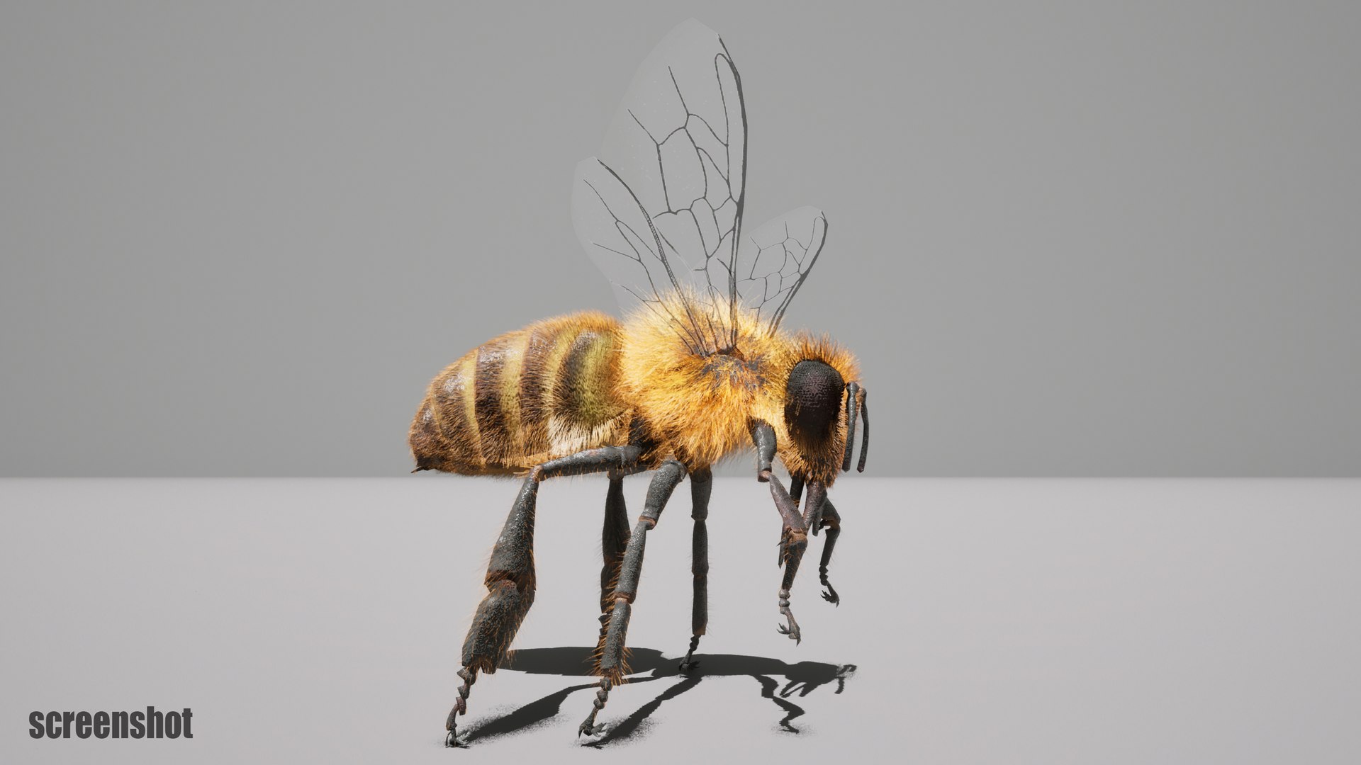 Honey Bee FUR UNREAL Project 3D - TurboSquid 2273577