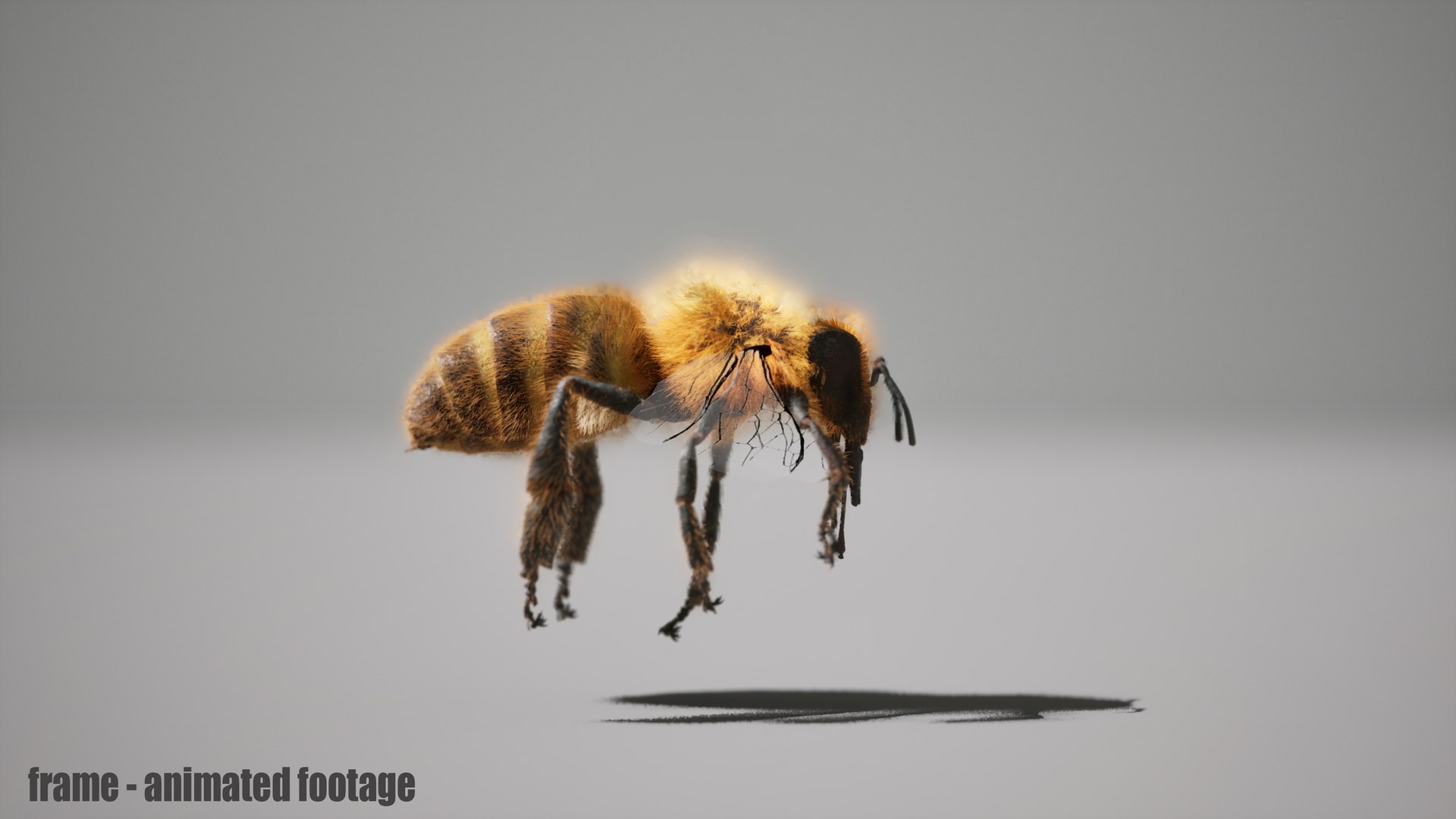 Honey Bee FUR UNREAL Project 3D - TurboSquid 2273577