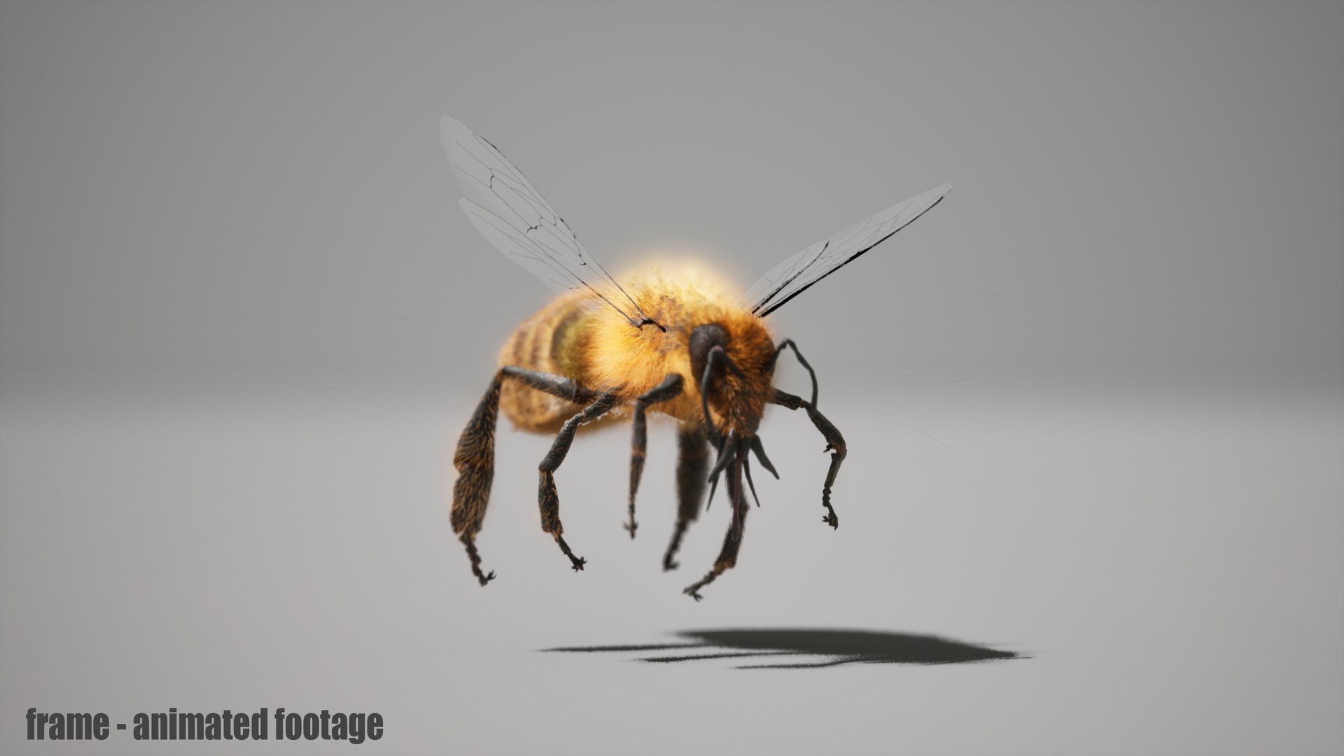 Honey Bee FUR UNREAL Project 3D - TurboSquid 2273577
