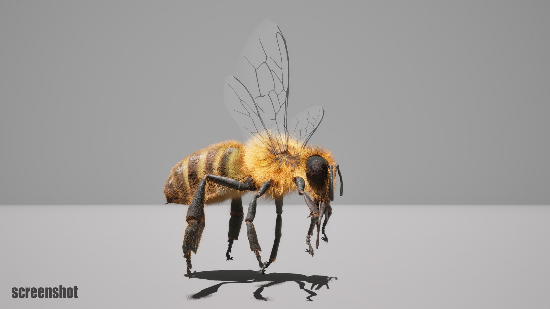 Honey Bee FUR UNREAL Project 3D - TurboSquid 2273577