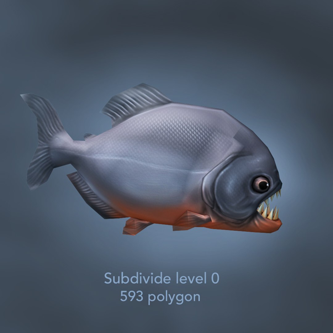 3d Piranha Fish Model