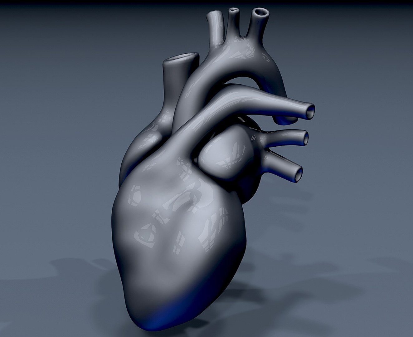 Heart Mesh 3D Model - TurboSquid 1157173