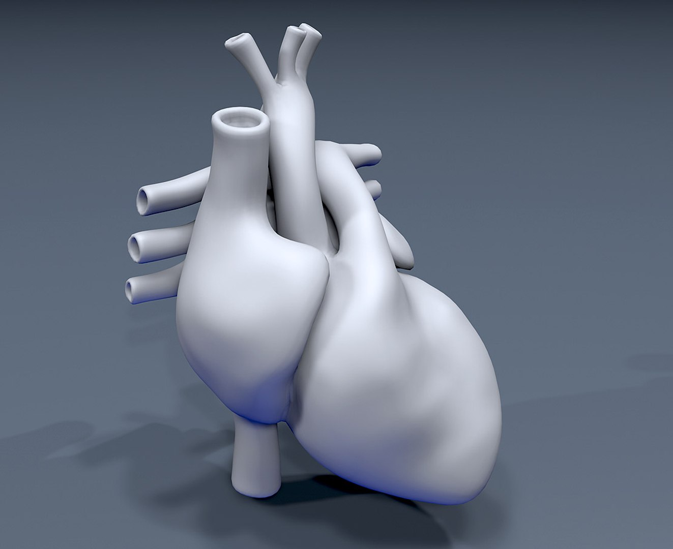 Heart Mesh 3D Model - TurboSquid 1157173