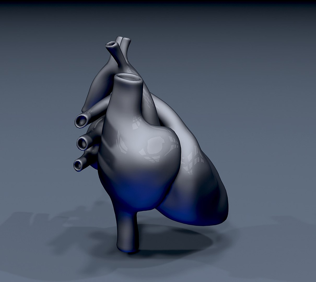 Heart Mesh 3D Model - TurboSquid 1157173