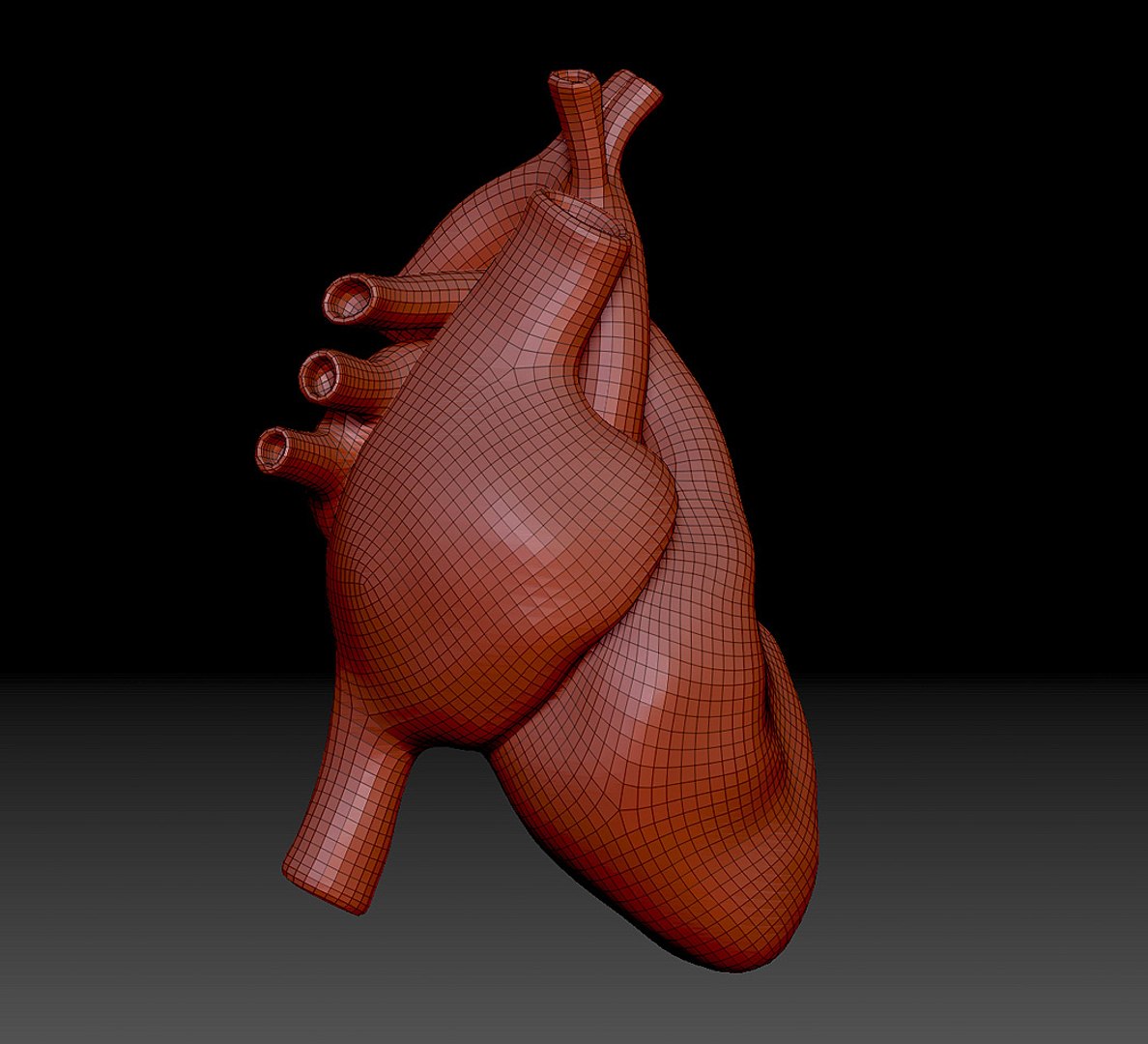 Heart Mesh 3D Model - TurboSquid 1157173