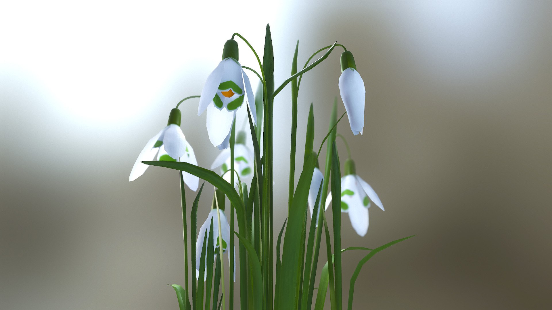 3D Snowdrop Model - TurboSquid 2205882