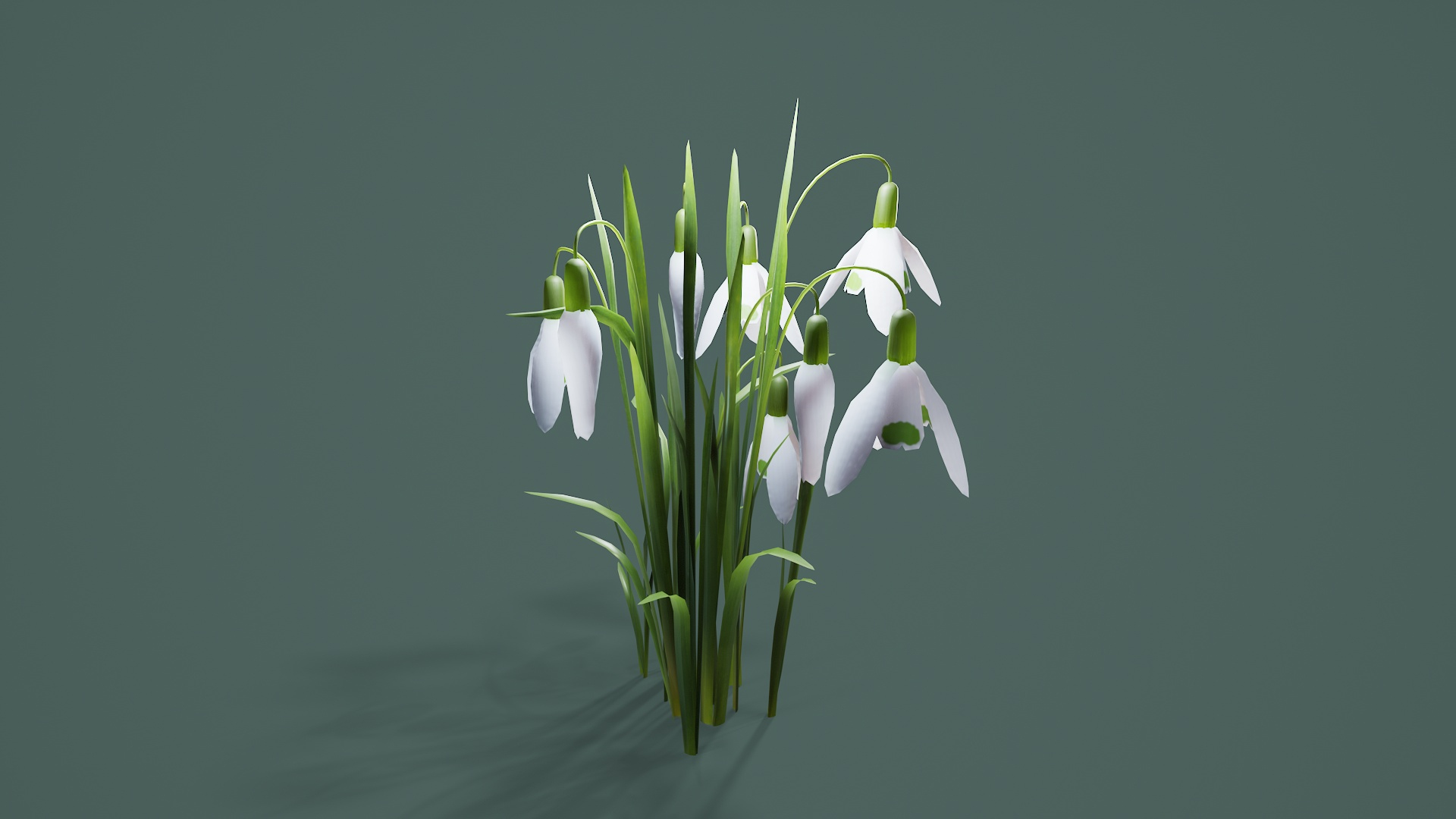 3D Snowdrop Model - TurboSquid 2205882