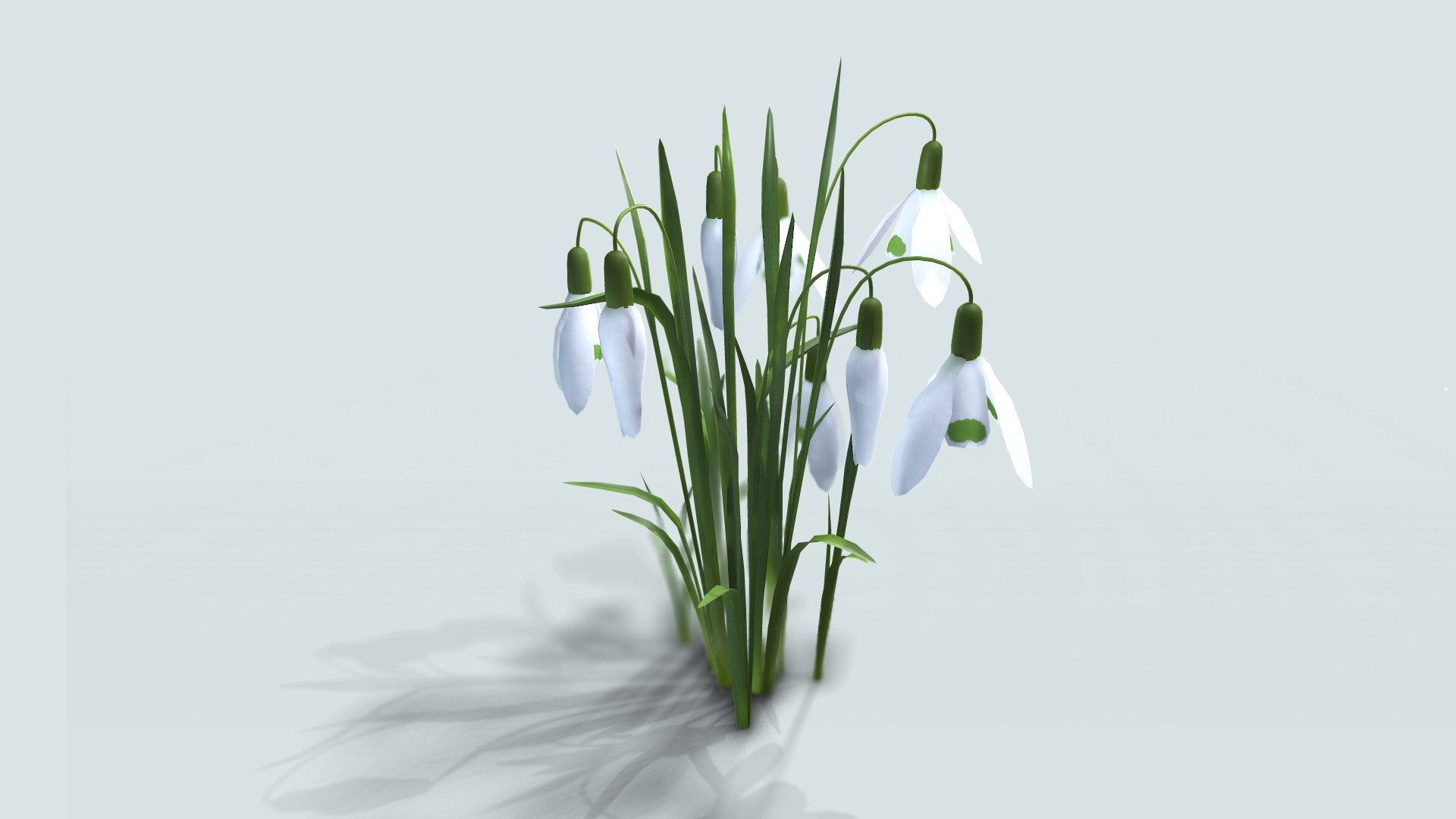 3D Snowdrop Model - TurboSquid 2205882