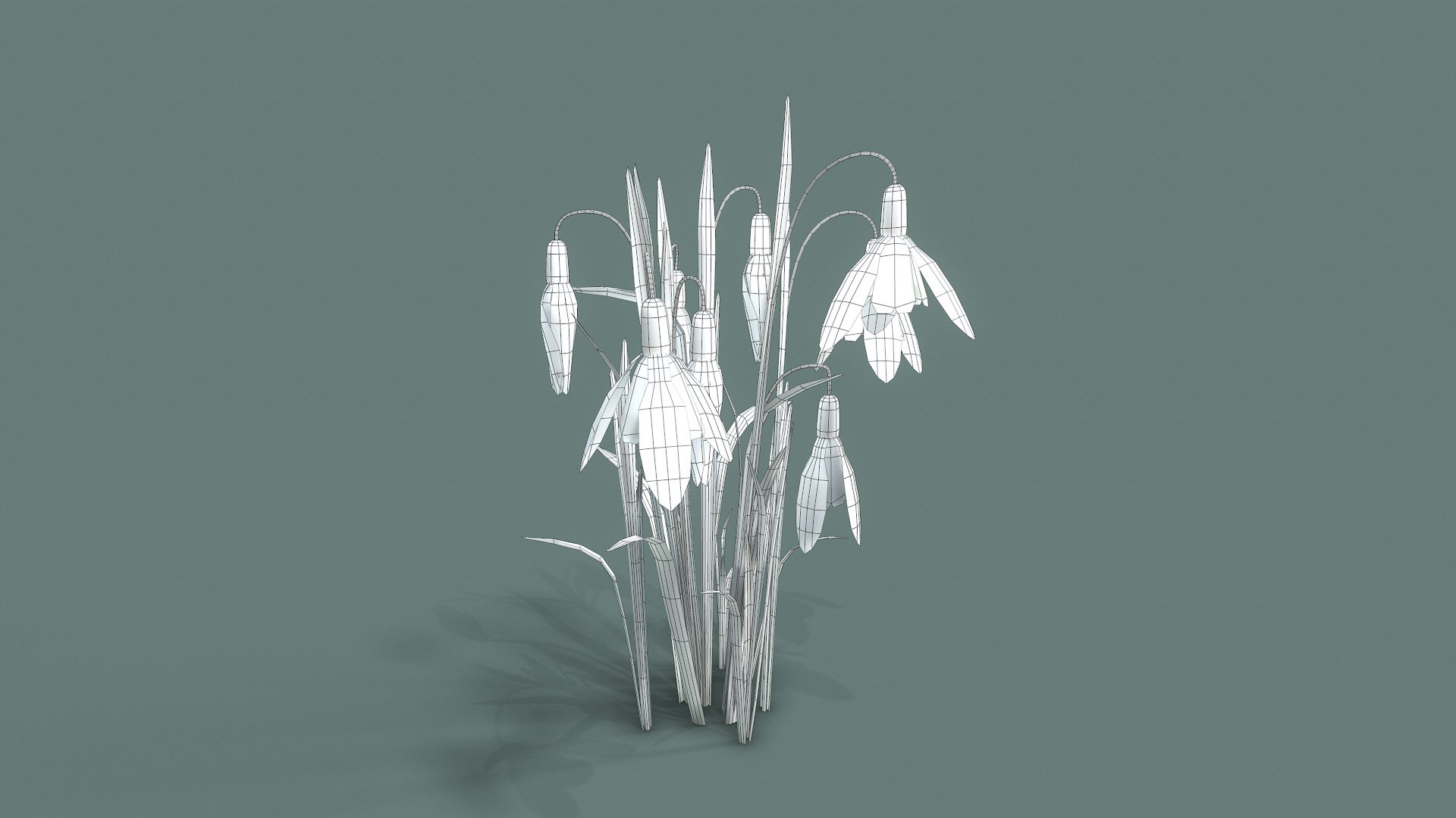 3D Snowdrop Model - TurboSquid 2205882