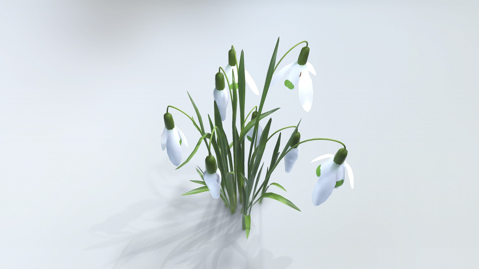 3D Snowdrop Model - TurboSquid 2205882