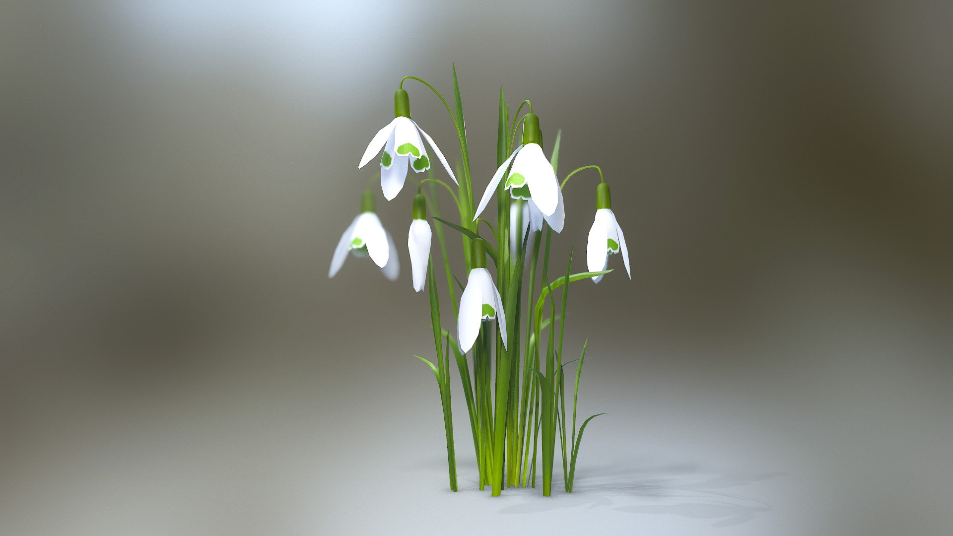 3D Snowdrop Model - TurboSquid 2205882