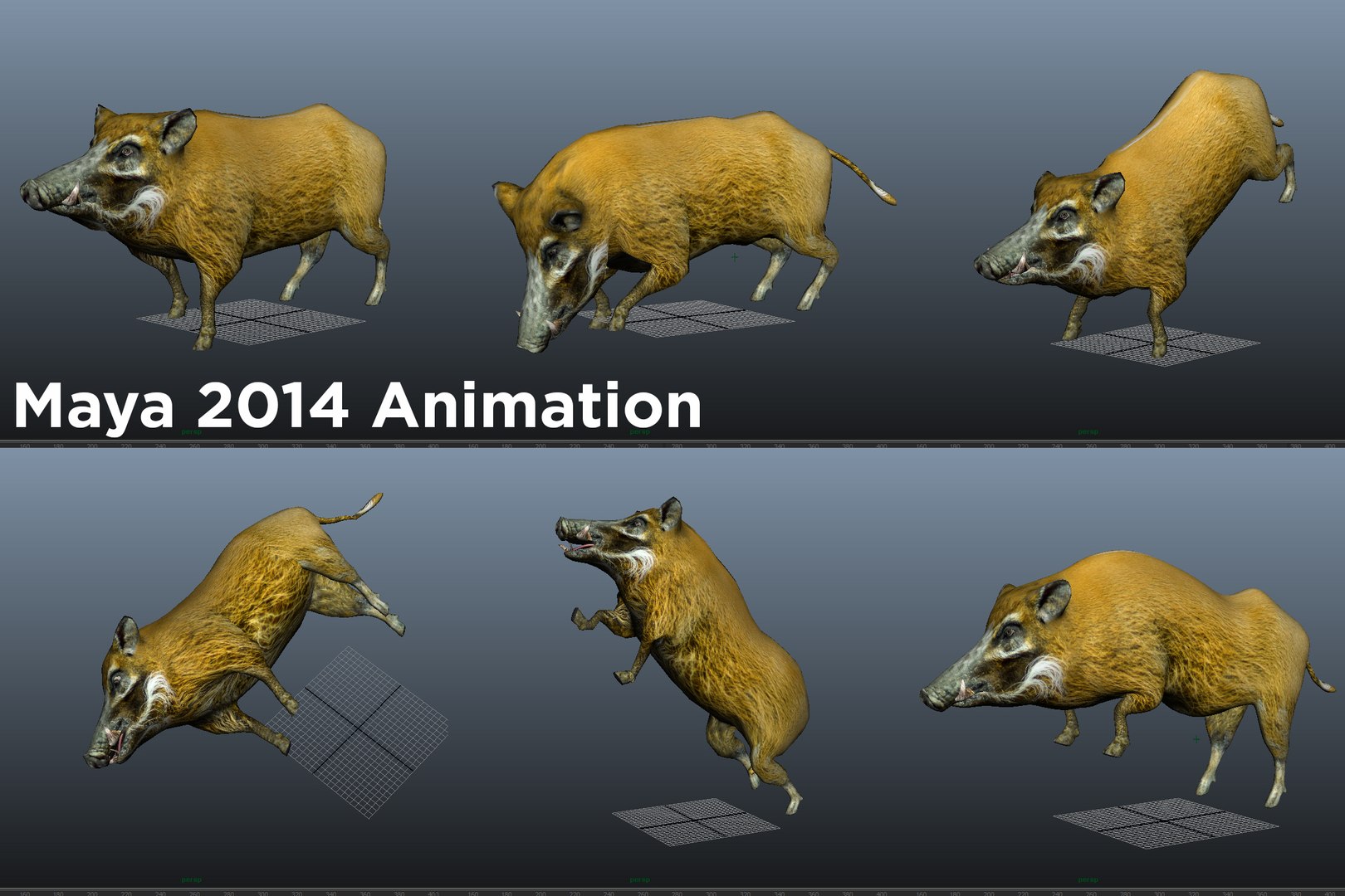 Wild boar rigged animation 3D model - TurboSquid 1253508