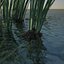 3d Typha Common Bulrush