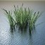 3d Typha Common Bulrush