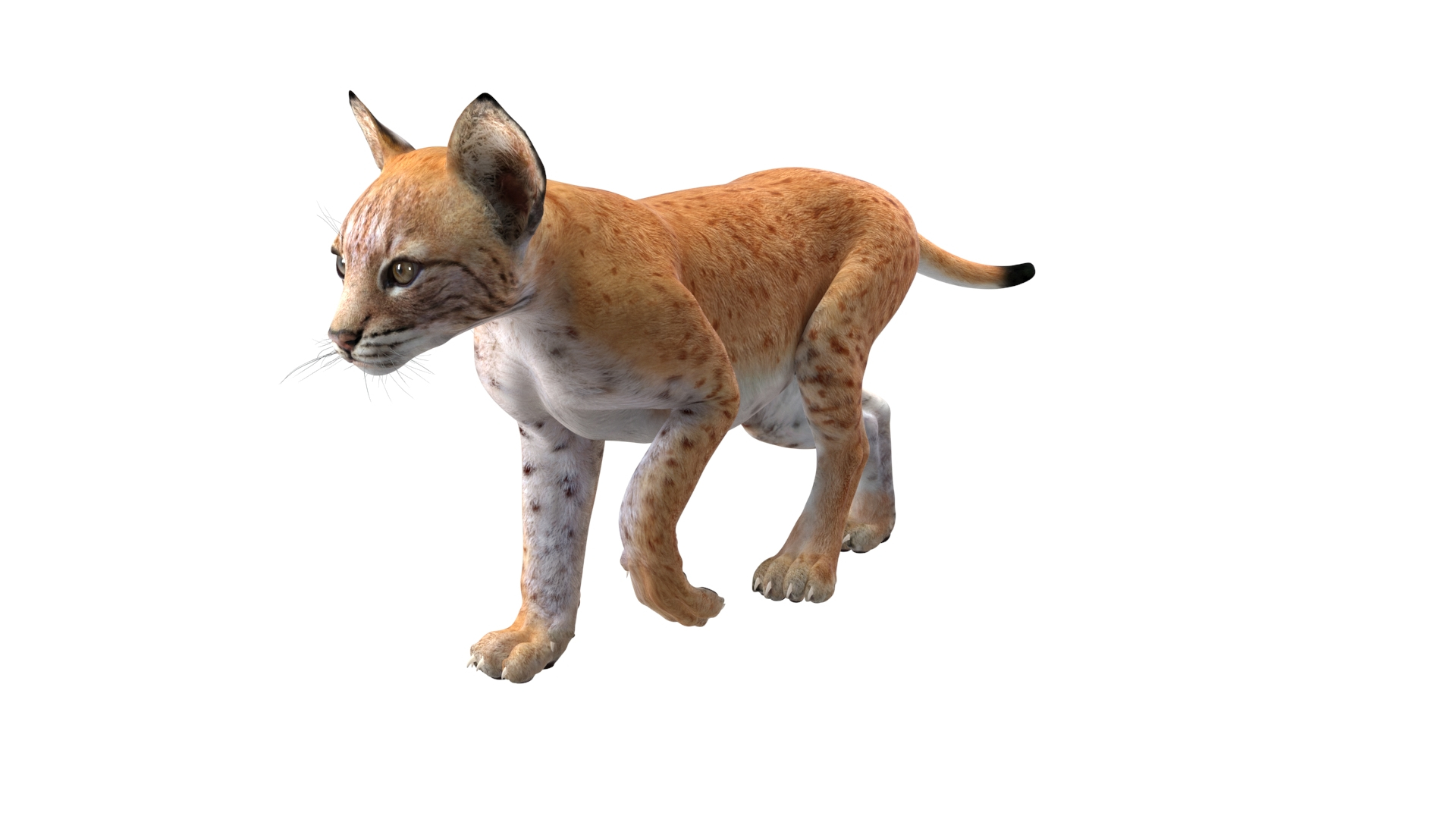 Lynx Cub In Walking Pose For 3D Print 3D - TurboSquid 2377477