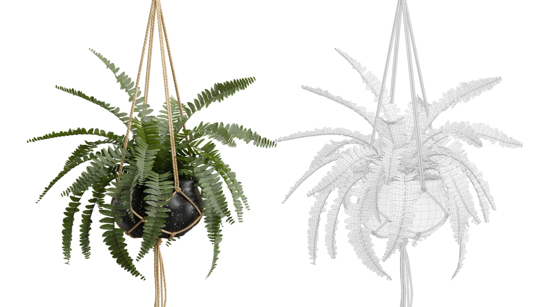 3D Model Hanging Plants 01 - TurboSquid 2141360