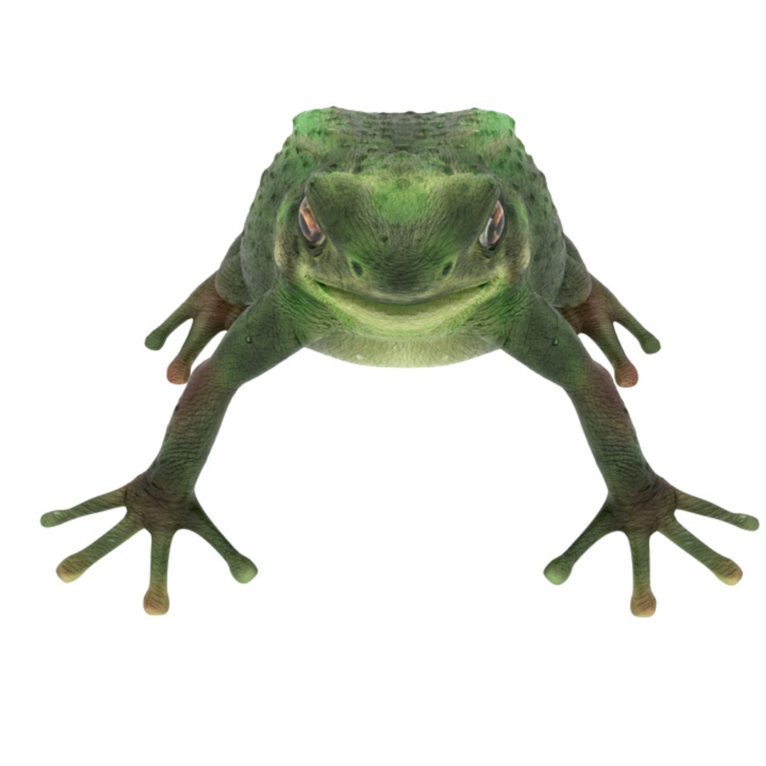maya frog