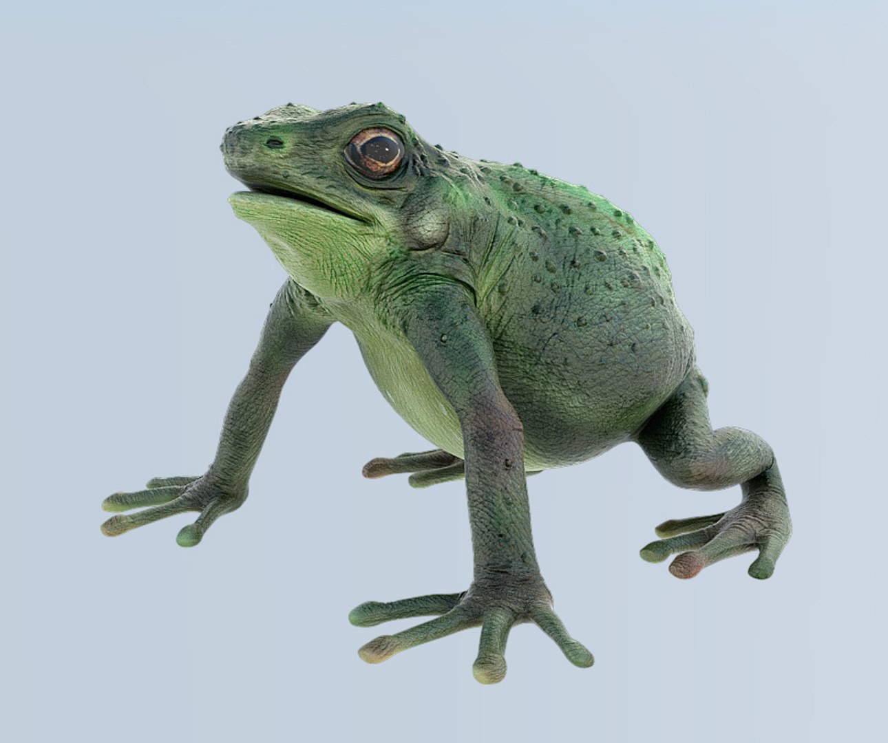 maya frog