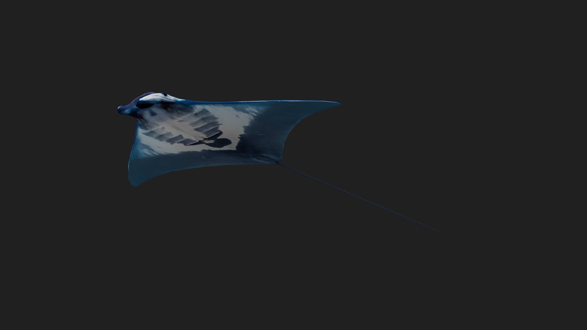 3D Devilfish - TurboSquid 2122057