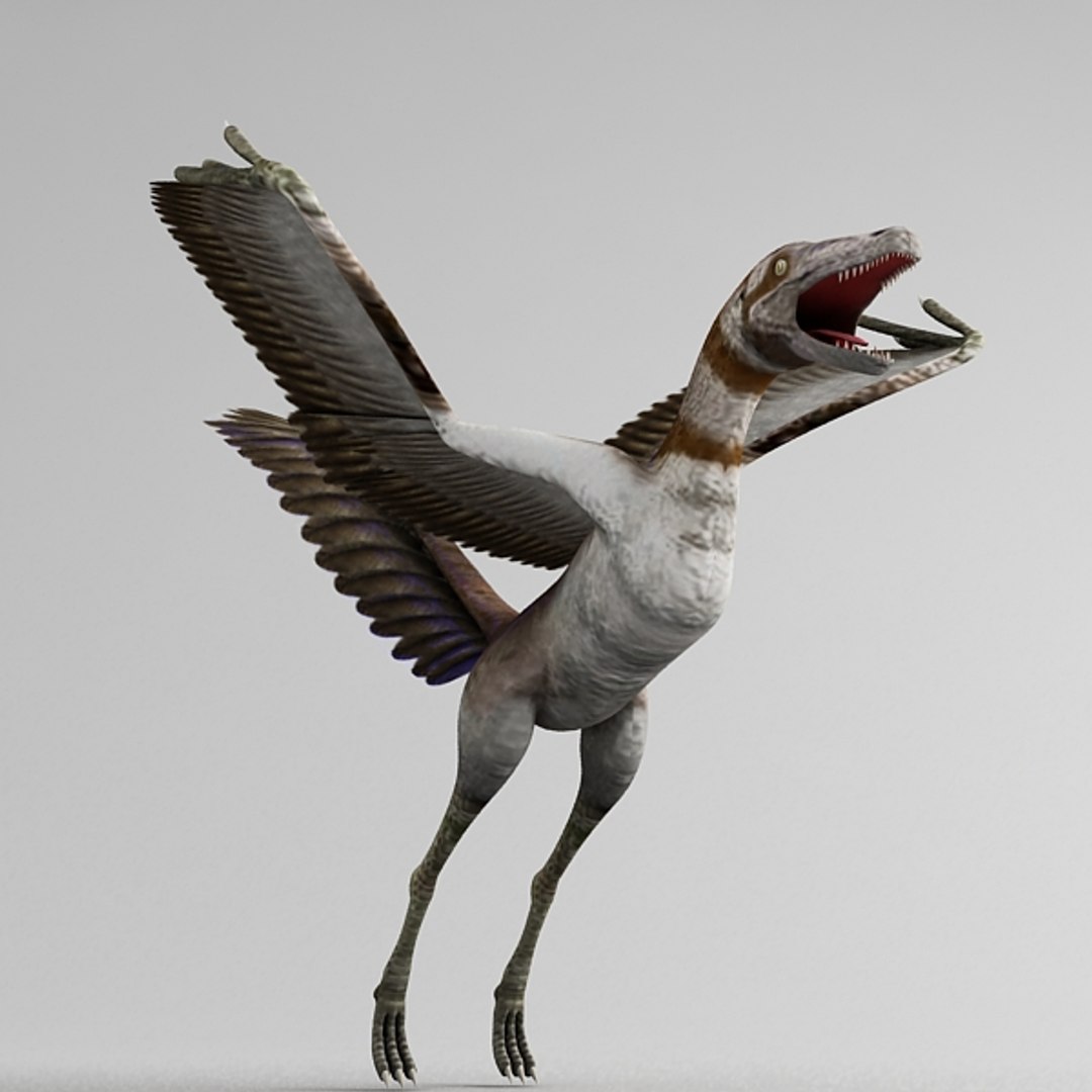 Max Archaeopteryx