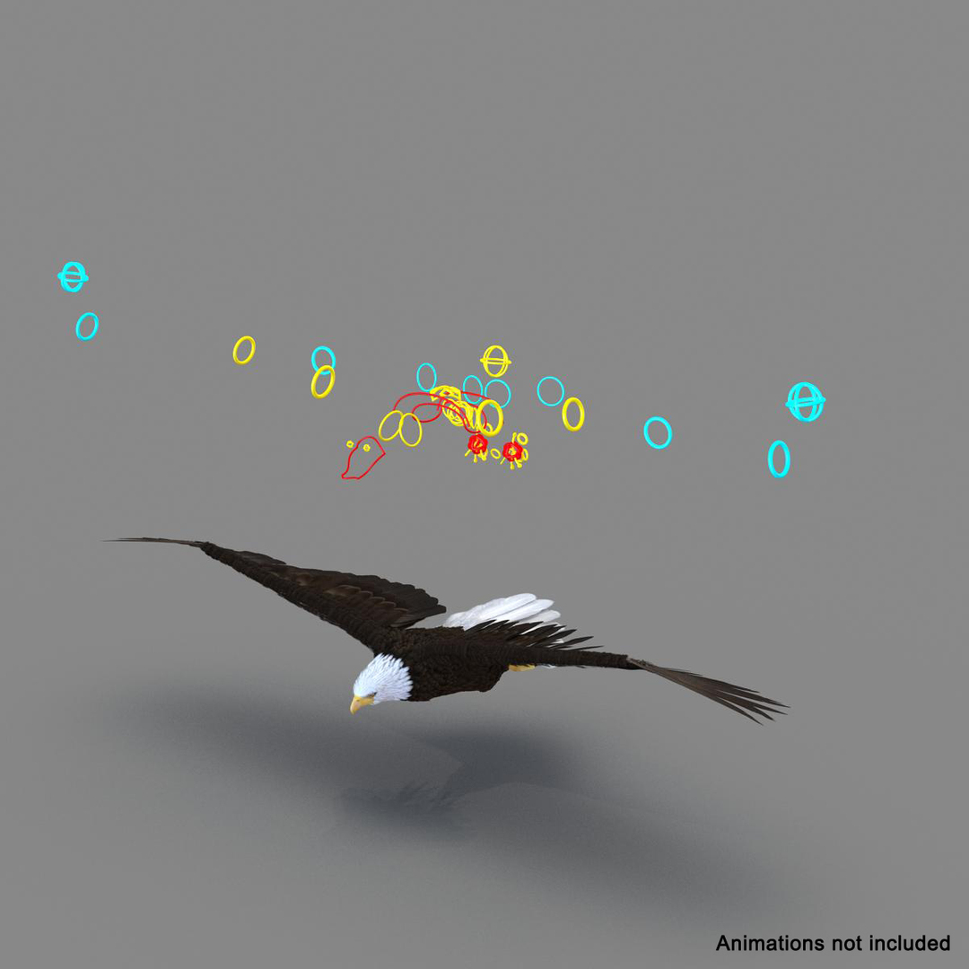 3d bald eagle animation