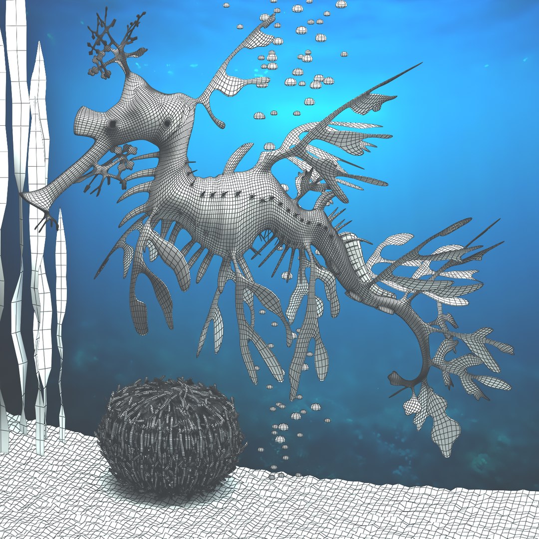 3D Aquarium Leafy Sea Dragon Model - TurboSquid 1540426
