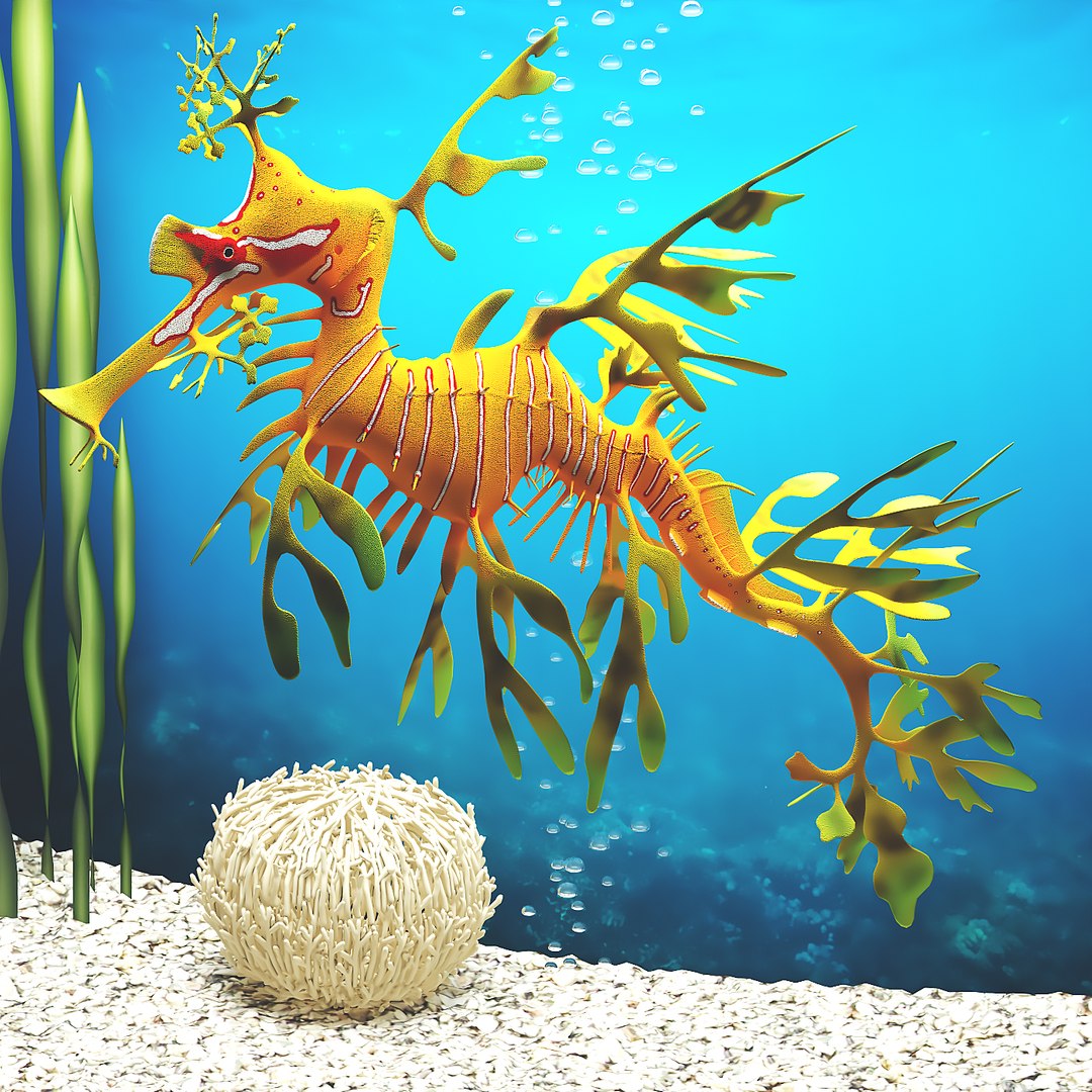 3D Aquarium Leafy Sea Dragon Model - TurboSquid 1540426