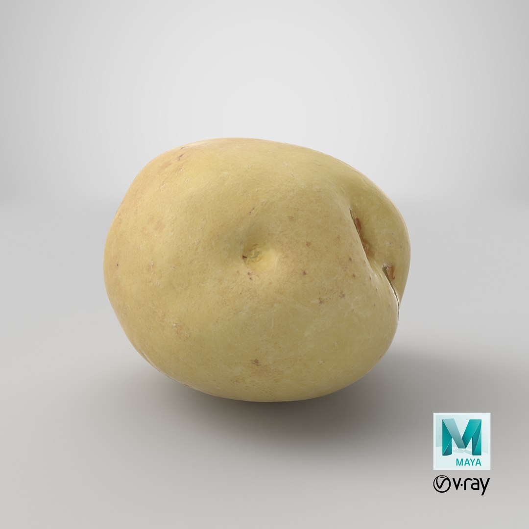 3D potato 05 hi polys model - TurboSquid 1466711
