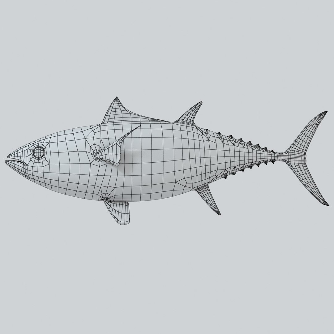 Skipjack Tuna 3d Max