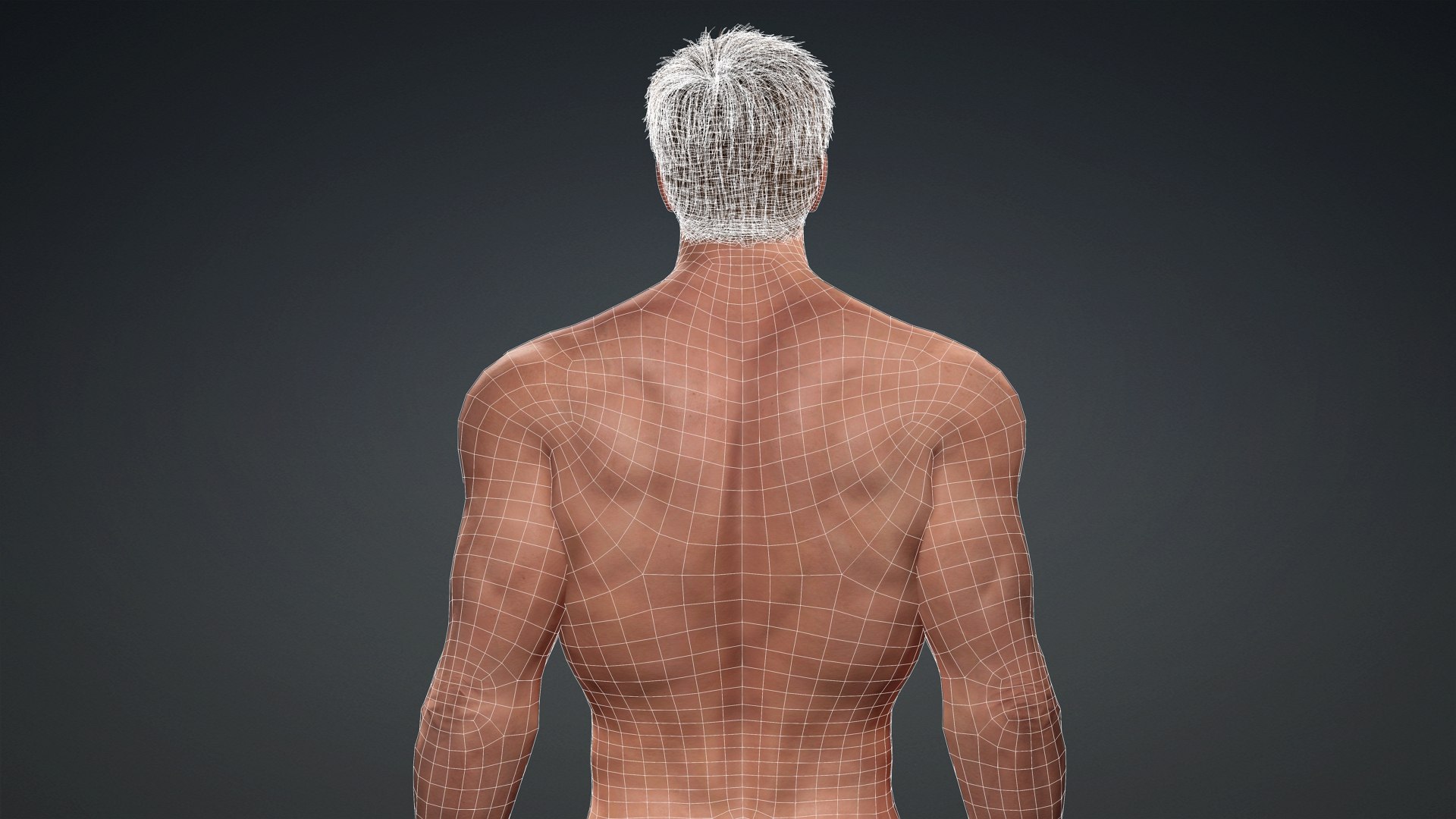 Human Male Anatomy 3D Model - TurboSquid 2516948