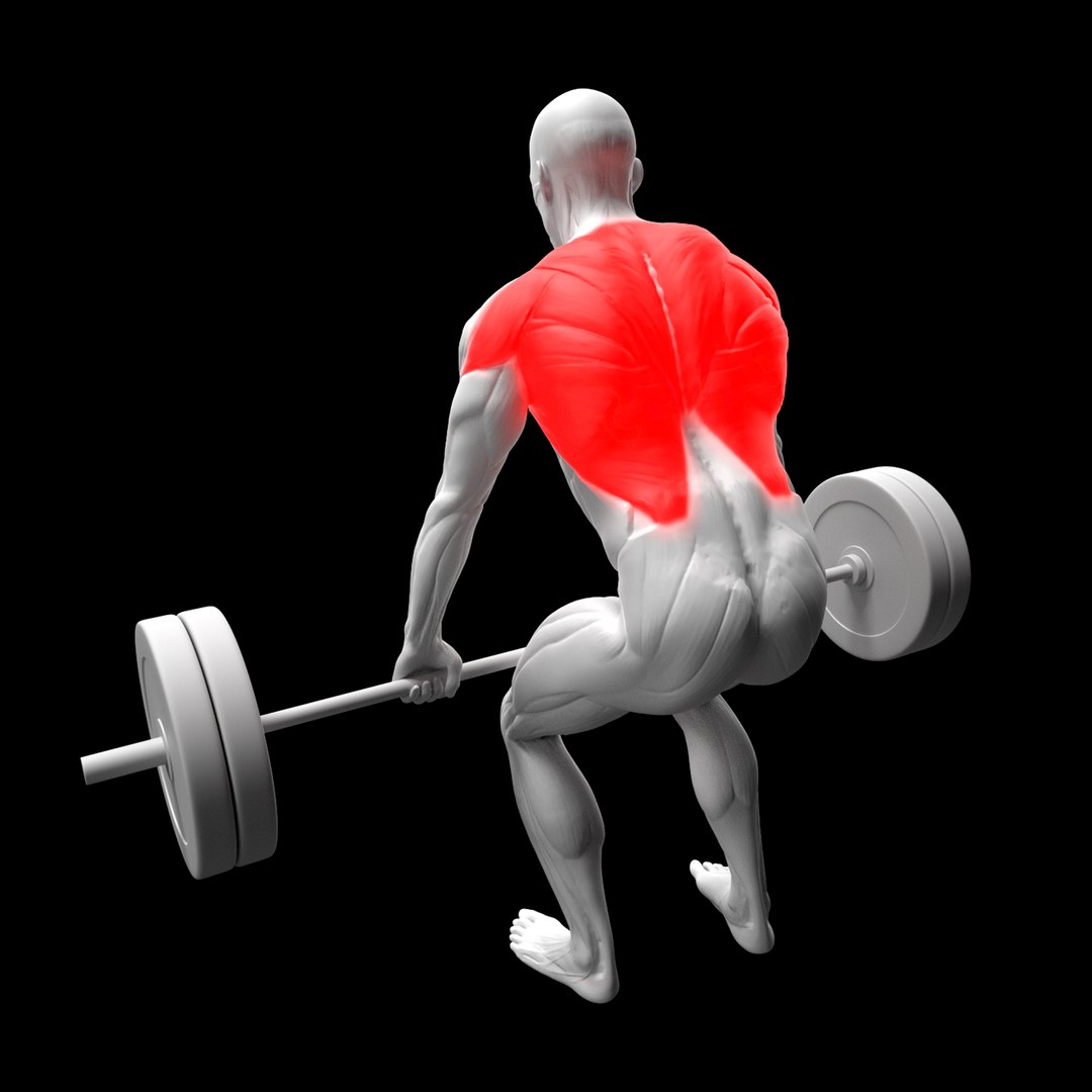 3D Model Barbell Row - TurboSquid 2228693