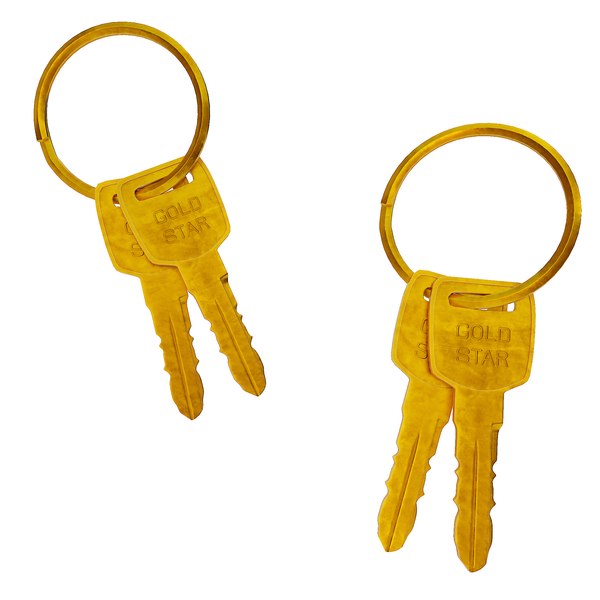 Golden door Key 3d model 3D 모델 - TurboSquid 1976560