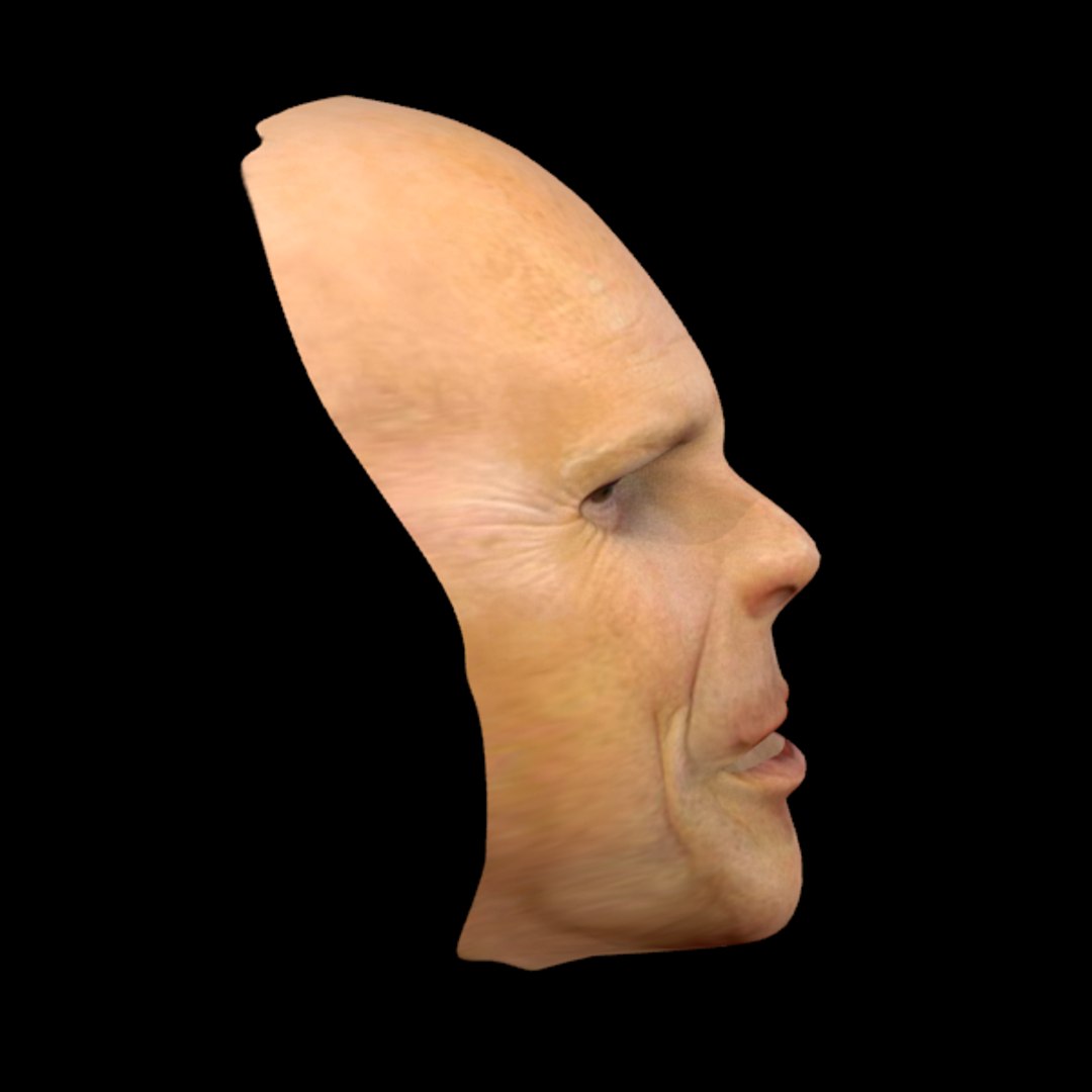 3d Face Bruce Willis