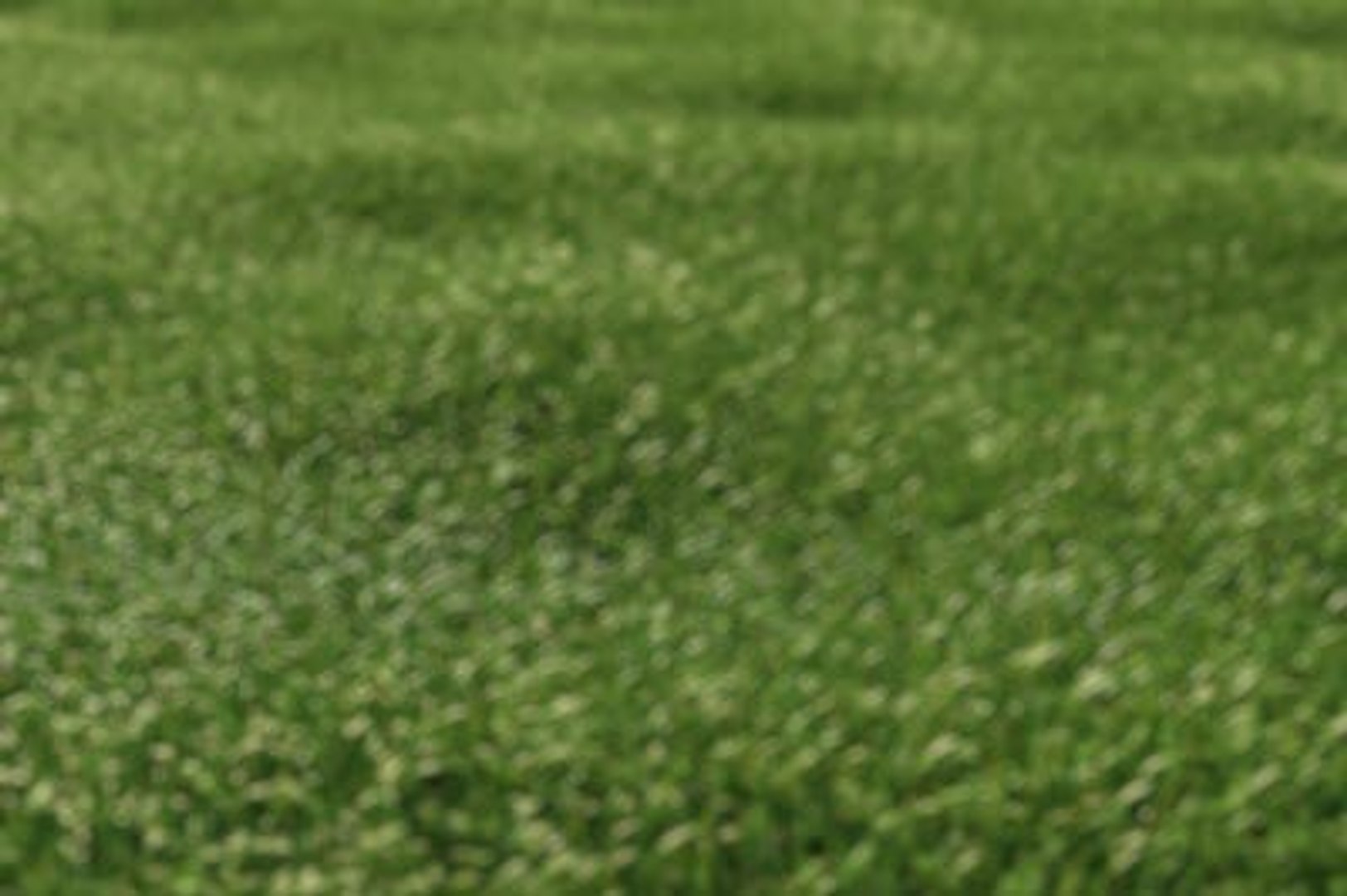 Grass Scattering 3d Max