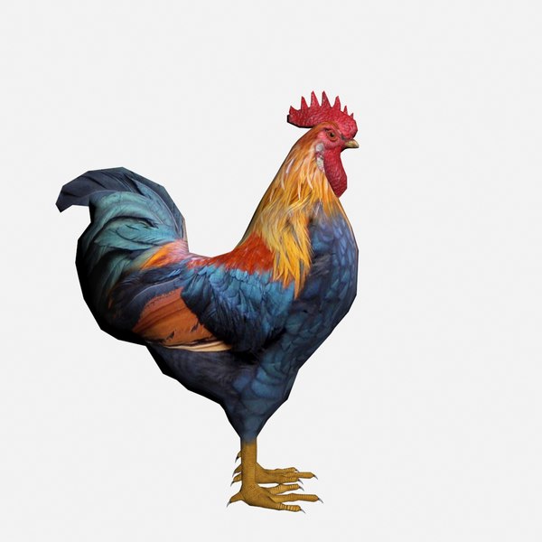 3D 20 Plus Birds Collection model - TurboSquid 1760378