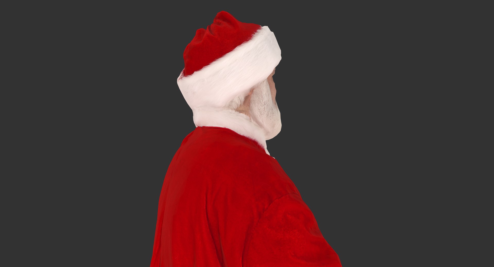 standing santa people human x