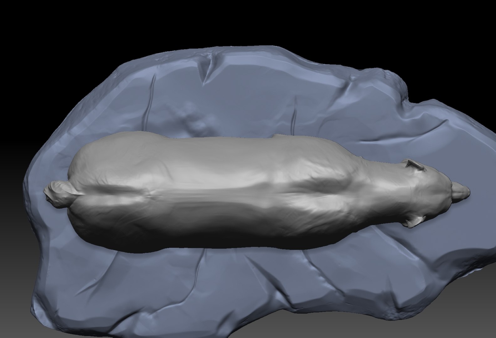 3D Polar Bear Semi-stylized Sculpt Model - TurboSquid 1944504