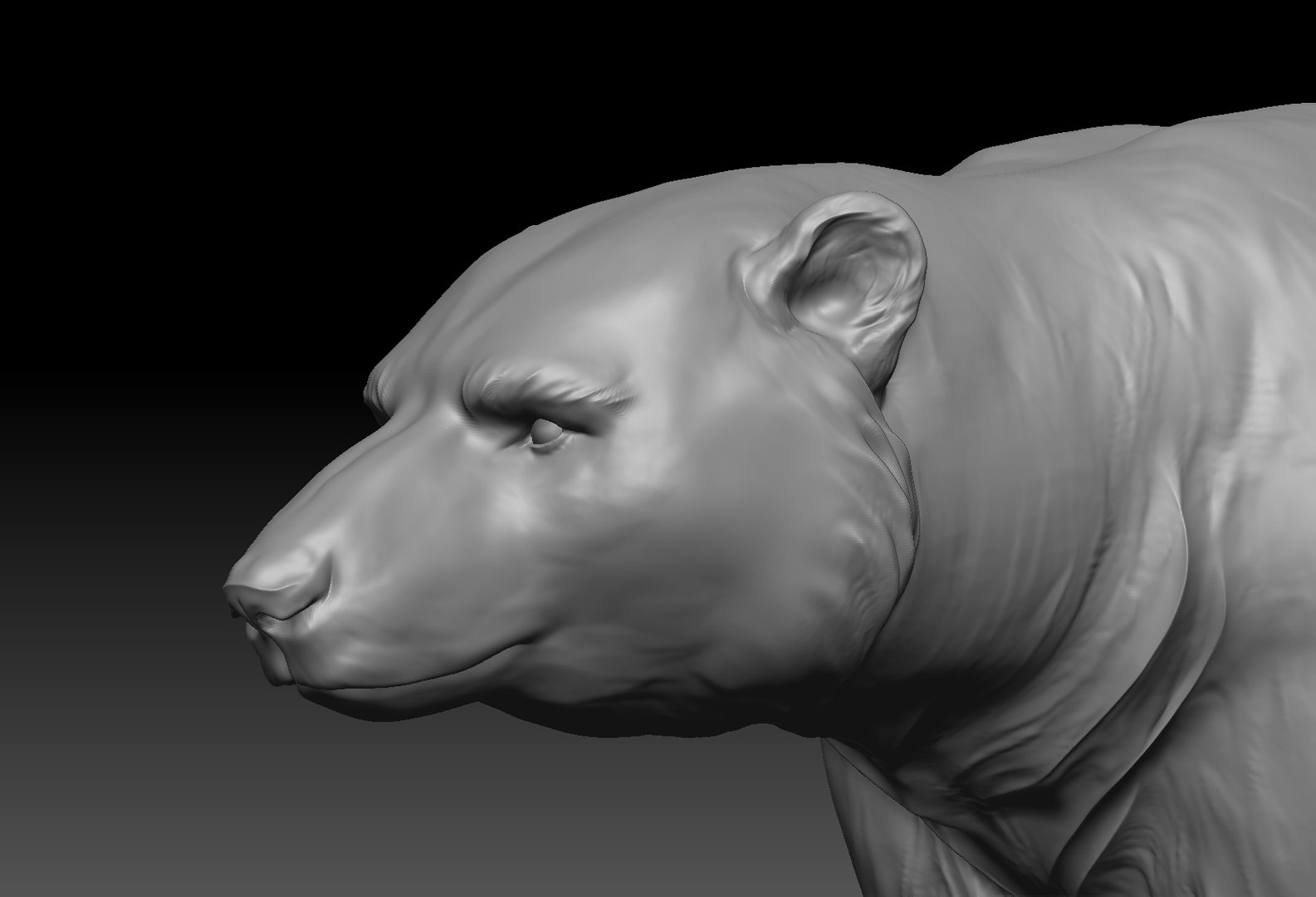 3D Polar Bear Semi-stylized Sculpt Model - TurboSquid 1944504