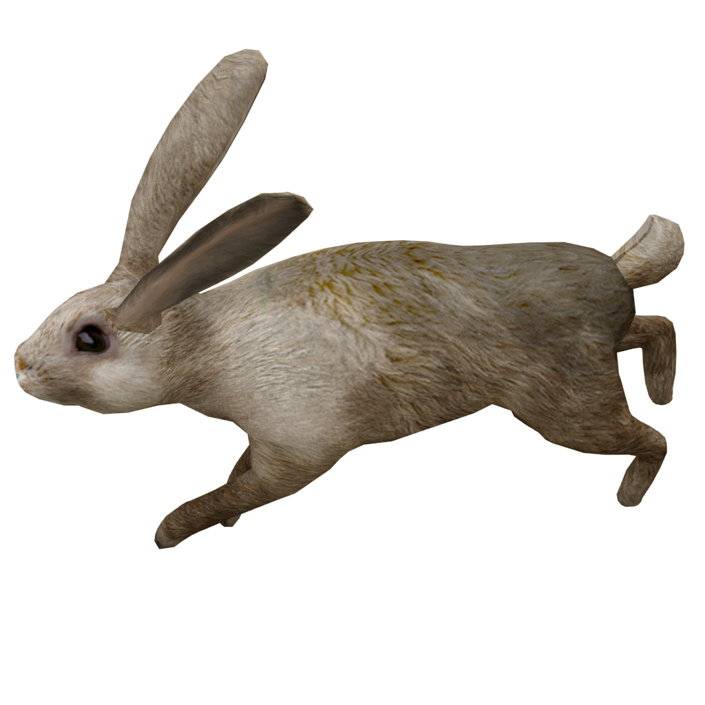 animation cat 3d 3ds