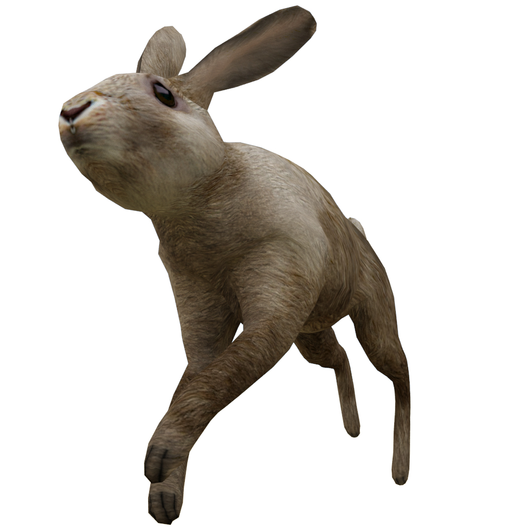 animation cat 3d 3ds