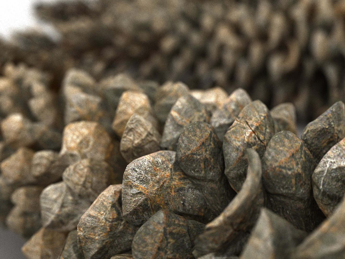 3D Conifer Cone Ultra Hd Model - TurboSquid 1318565