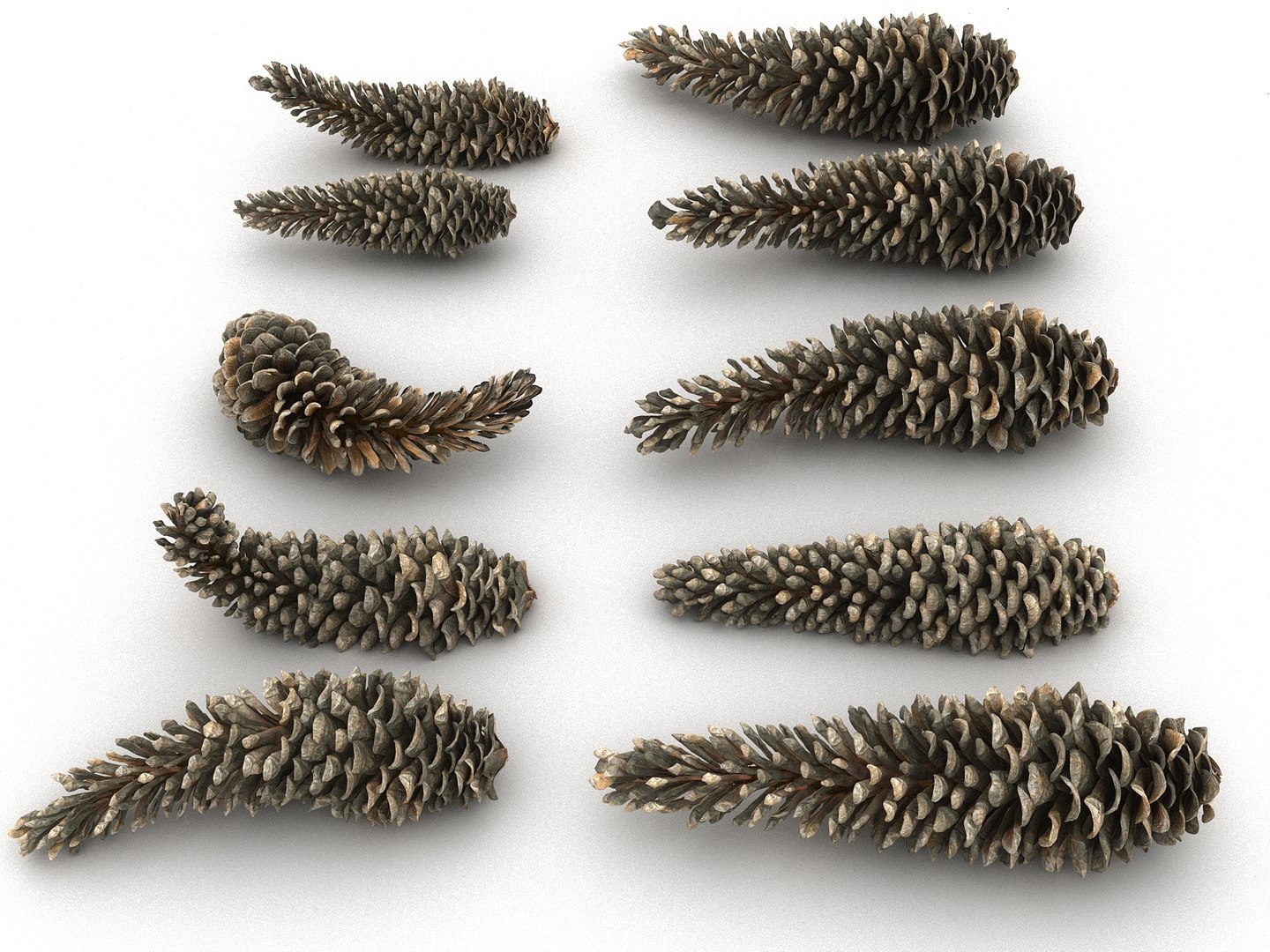 3D Conifer Cone Ultra Hd Model - TurboSquid 1318565