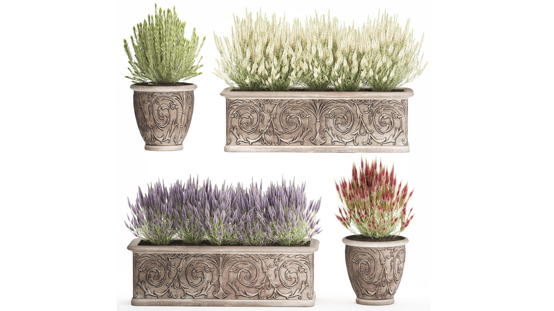 Wildflower Bushes Classic Pot Calluna Lavender Rosemary Set 3D ...