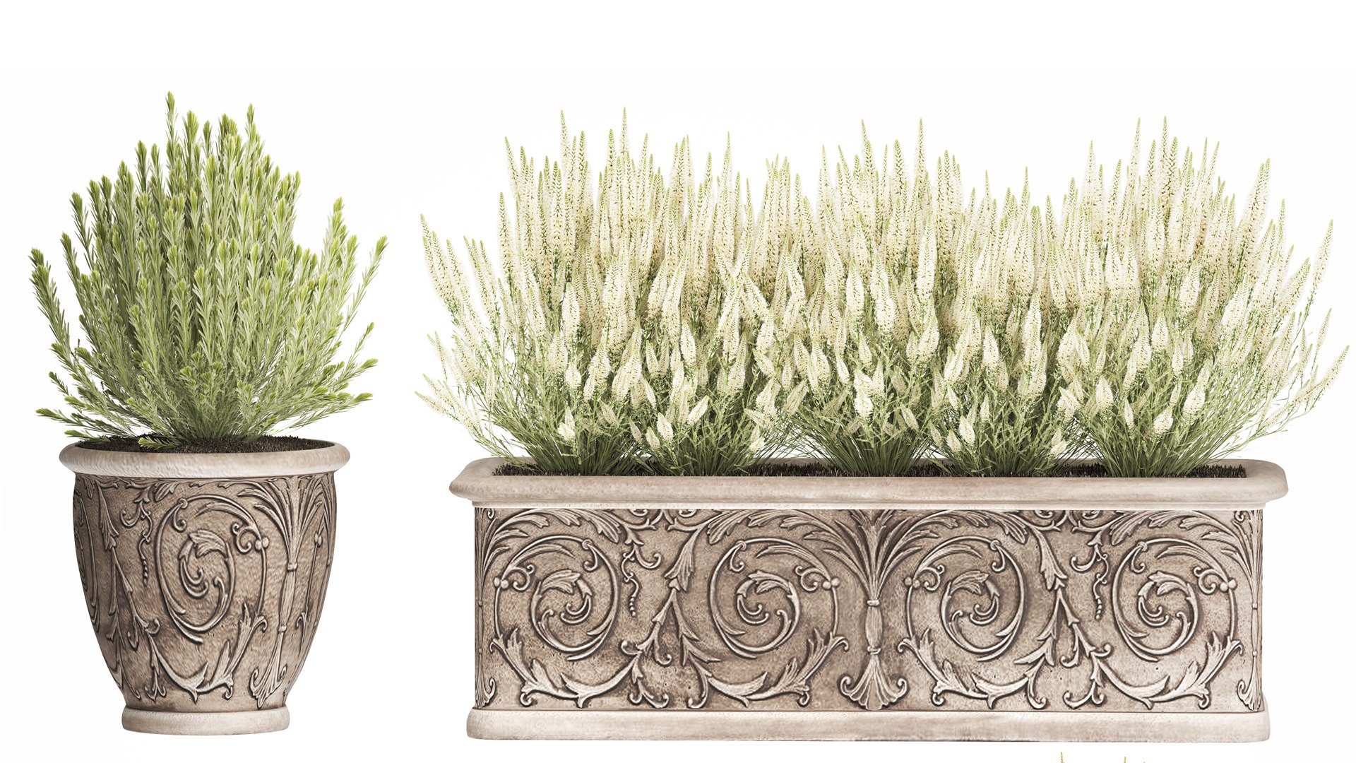 Wildflower Bushes Classic Pot Calluna Lavender Rosemary Set 3D ...