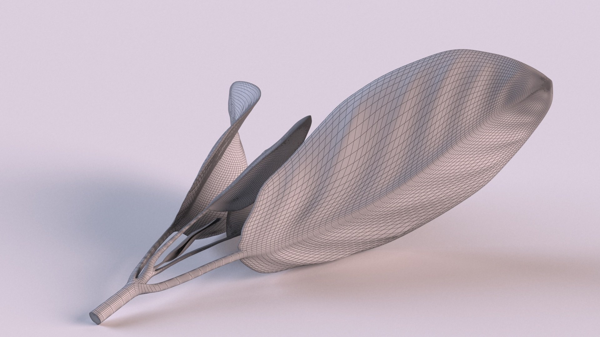 3D Leaf Sage Sprig Plant - TurboSquid 1699402