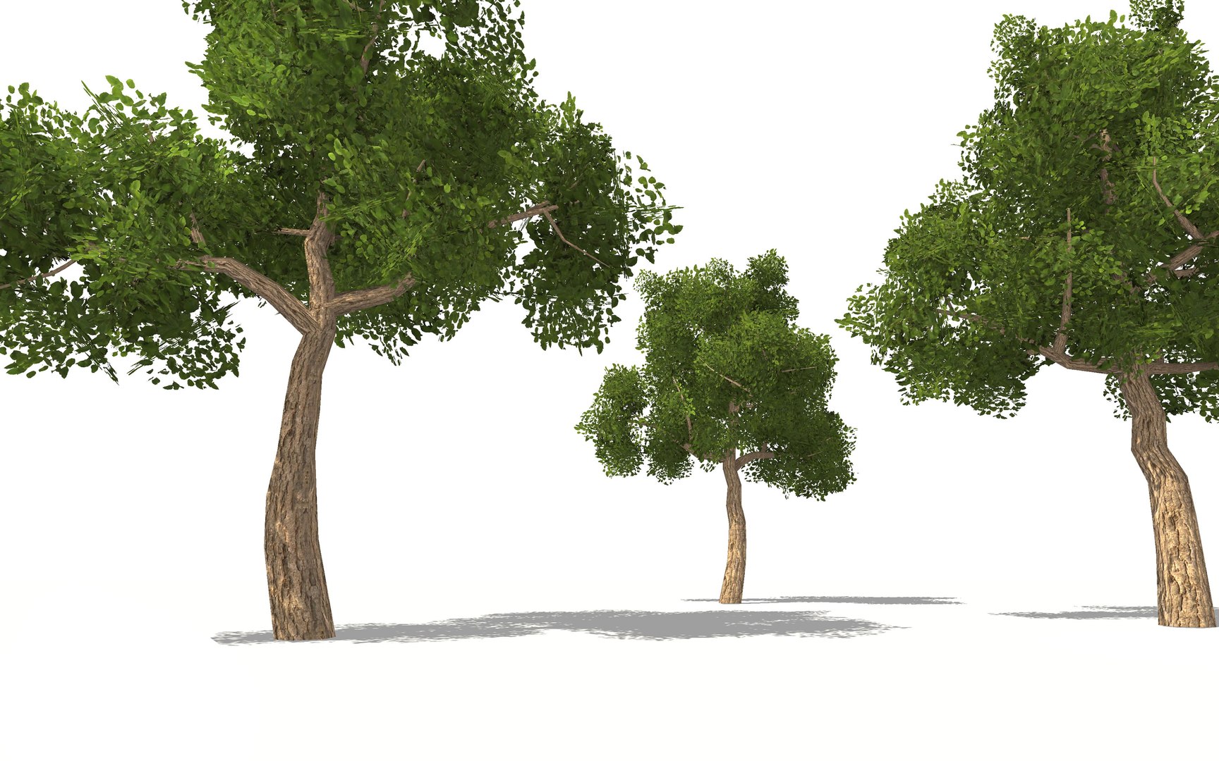 3D realistic forest trees model - TurboSquid 1517320