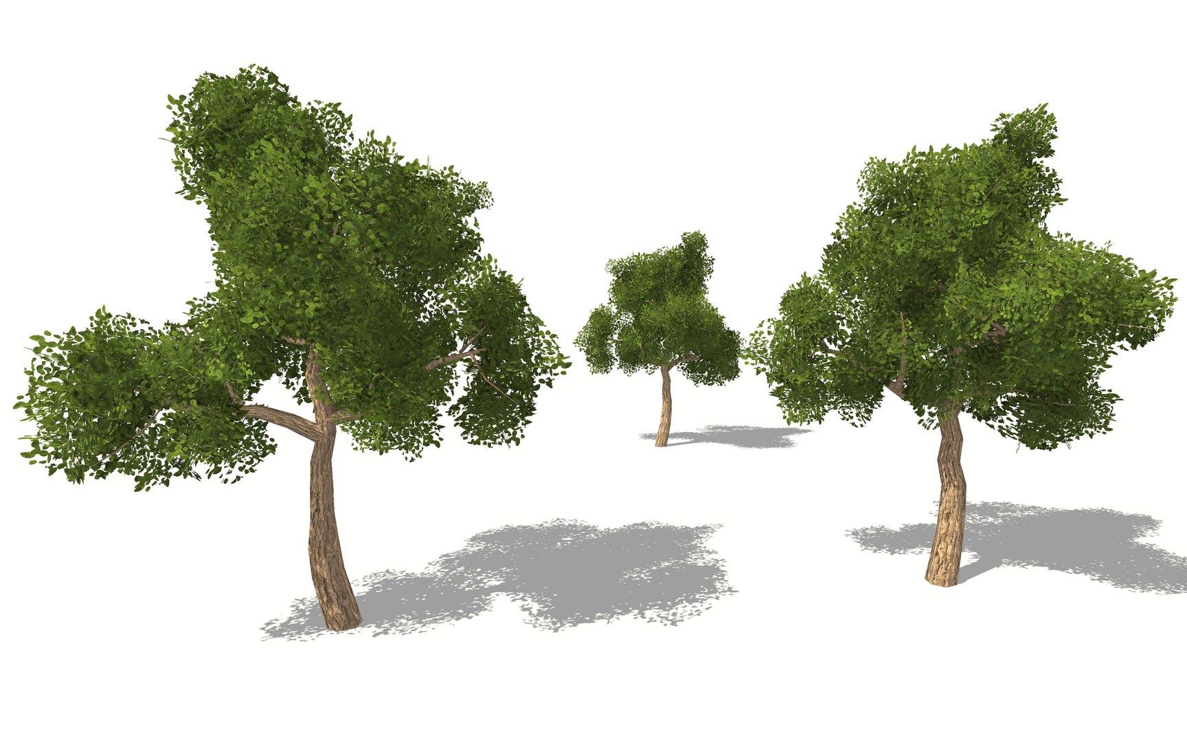 3D realistic forest trees model - TurboSquid 1517320