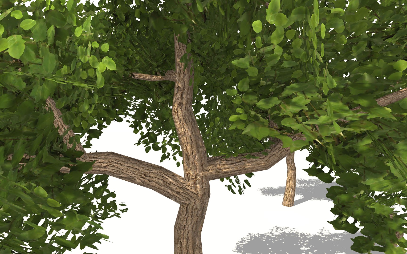 3D realistic forest trees model - TurboSquid 1517320