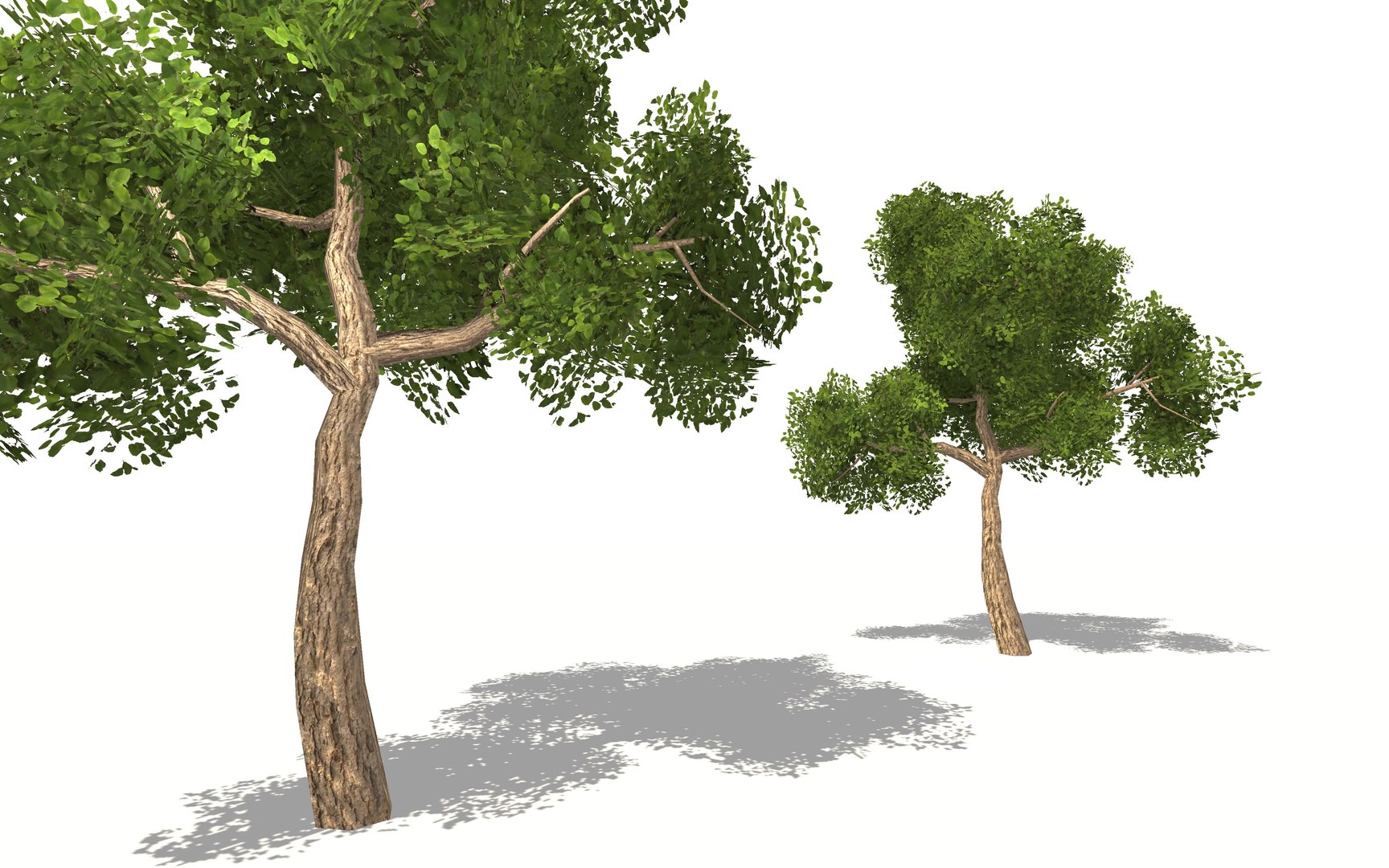 3D realistic forest trees model - TurboSquid 1517320